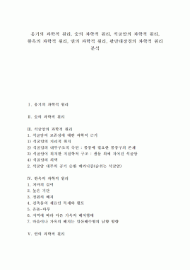 [과학적 원리][옹기 과학적 원리][숯 과학적 원리][석굴암][한옥][연][팔만대장경]옹기의 과학적 원리, 숯의 과학적 원리, 석굴암의 과학적 원리, 한옥의 과학적 원리, 연의 과학적 원리, 팔만대장경의 과학적 원리-1페이지