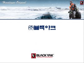 블랙야크 회사소개 및 기술력과 비전-1페이지
