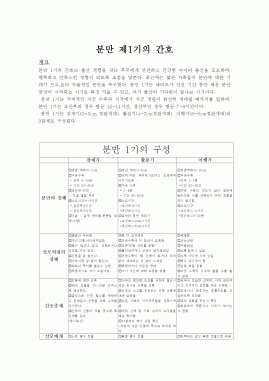 [간호학]분만모성레포트-1페이지