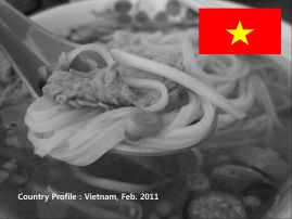 베트남을 주제로 한 국제PR 발표-1페이지