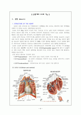 [간호학]심장해부생리-1페이지