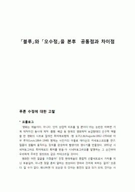 블루와 오수정을 본후  공통점과 차이점-1페이지