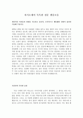 자기소개서독특한질문모범예시문+자기소개서학력사항및경력사항[자기소개서창의적질문&자기소개서학력사항및경력사항]-1페이지