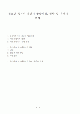 청소년 복지의 개념과 발달배경, 현황 및 쟁점과 과제.-1페이지