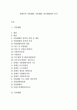 장애인의 직업재활, 사회재활, 심리재활영역 분석-1페이지