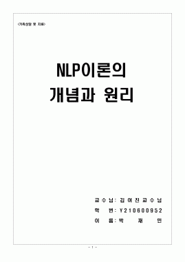 NLP이론의개념과 원리-1페이지