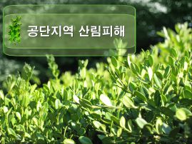 공단지역 산림피해-1페이지