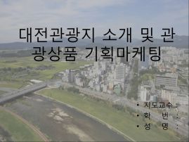 대전관광지 소개 및 관광상품 -1페이지