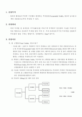 Type 1 of Sedimentation(결과 Report)-1페이지