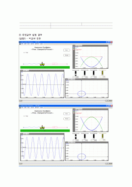 09.5.28 (10장-컴퓨터화상실험단조화운동)-1페이지