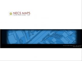 NecsMap GIS Service-1페이지