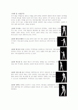 골프의 종류와 특징 및 규칙-1페이지