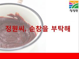 청정원 순창고추장 광고전략기획서-1페이지