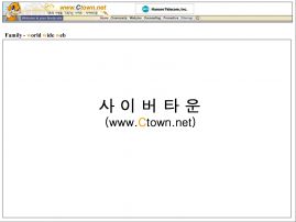 지역커뮤너티사이트 사업계획서-1페이지