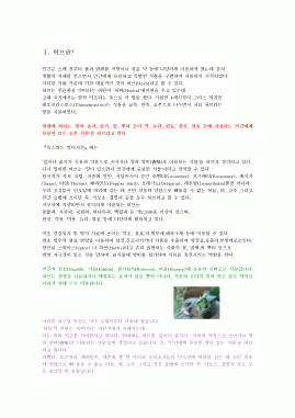 허브의 종류와 효능 허브의 역사와 조리-1페이지