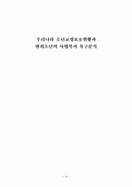 우리나라 소년교정보호현황과 범죄소년의 사법복지 욕구분석-1페이지