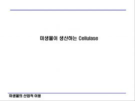 미생물이 생산하는 cellulase 셀롤라이제 (식이섬유분해효소)-1페이지