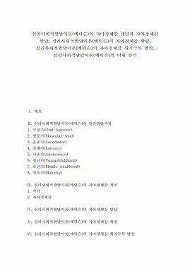 심리사회적발달이론(에릭슨)의 자아정체감 개념과 자아정체감 발달, 심리사회적발달이론(에릭슨)의 자아정체감 확립, 심리사회적발달이론(에릭슨)의 자아정체감 위기극복 방안, 심리사회적발달이론(에릭슨)의 비평-1페이지