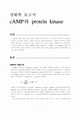 cAMP와 protein kinase-1페이지