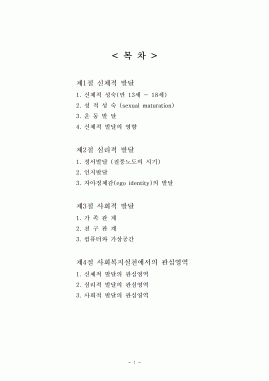 제5장 청소년기요약정리-1페이지