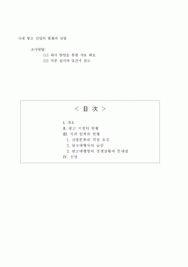 국내광고산업의현황과전망-1페이지