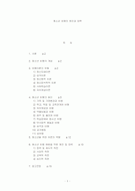 청소년 비행 예방을 위한 제언 및 대책-1페이지