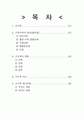 근수축[muscular contraction 筋收縮]에 대해-1페이지