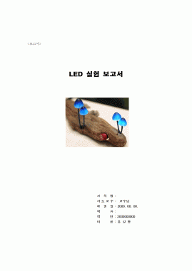 LED 실험 보고서-1페이지