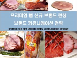 프리미엄 햄 신규 브랜드 런칭 커뮤니케이션전략-1페이지