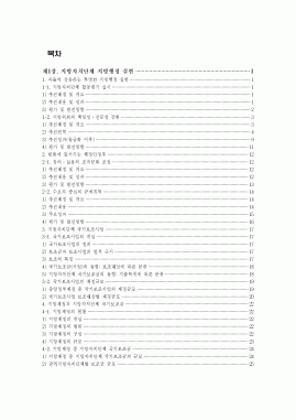 지방자치단체 지방행정 실현-1페이지