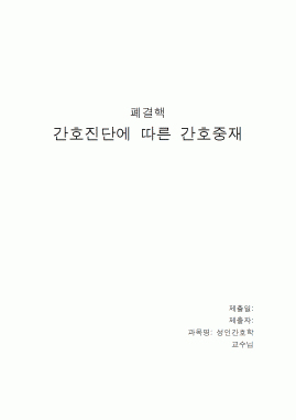 폐결핵 간호진단에 따른 간호중재-1페이지