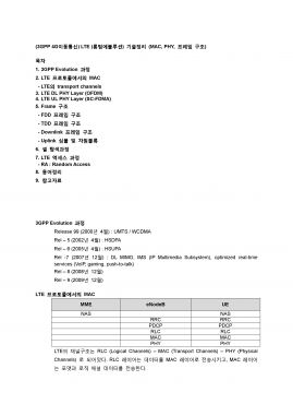 (3GPP 4G이동통신) LTE (롱텀에볼루션) 기술정리 (MAC, PHY, 프레임 구조)-1페이지