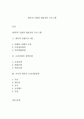 회복적 사법의 대표적인 프로그램-1페이지