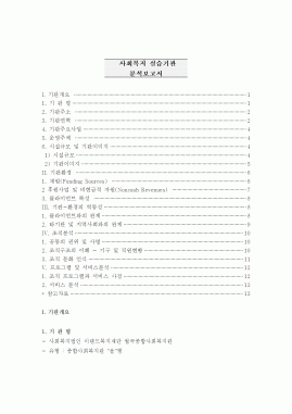 (A+ 보고서) 사회복지 실습기관 분석보고서 -1페이지