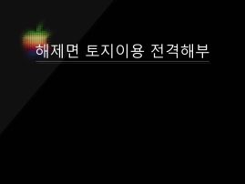 무안해제ppt-1페이지