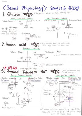 관동대 의학과 생리학 3차 - Renal Physiology 요약-1페이지