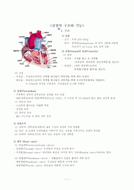 심장의 구조와 심장의 기능-1페이지