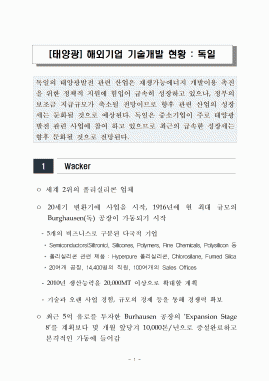 해외기업 독일 태양광 기술개발 현황-1페이지