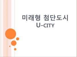 미래형+첨단도시+U-city-1페이지