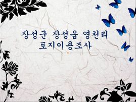 장성읍 토지이용조사-1페이지