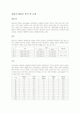 영천시 소개 및 SWOT분석-1페이지