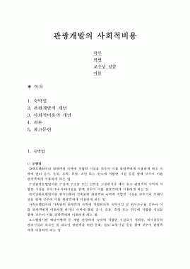 관광개발의_사회적비용-1페이지