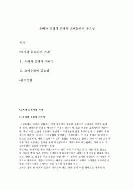 소비와 문화의 관계와 소비문화의 중요성-1페이지