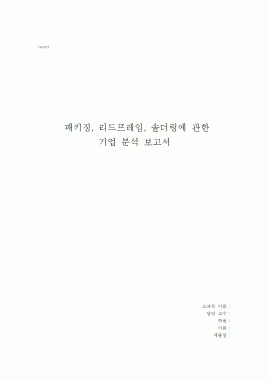 기업분석보고서-1페이지