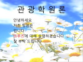 관광학원론-크루즈-1페이지