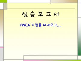 실습보고서 YWCA를 다녀와서-1페이지