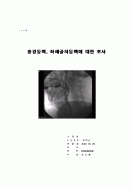 총경동맥, 좌쇄골하동맥에 대한 조사-1페이지