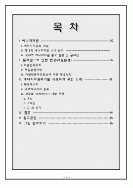 (대학생)레포트 - 국내,국외 에너지자원 현황-1페이지