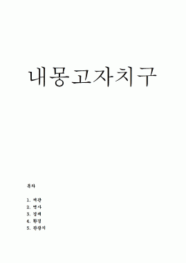 내몽고자치구-1페이지