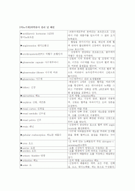 [비뇨기계]의학용어 정리 및 해설-1페이지